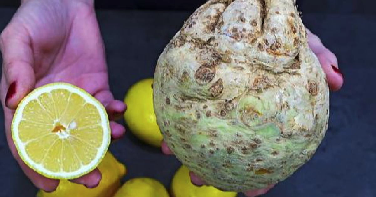 Domowa mikstura zdrowia, czyli seler i cytryna. Przepis. – Strona 3 ...